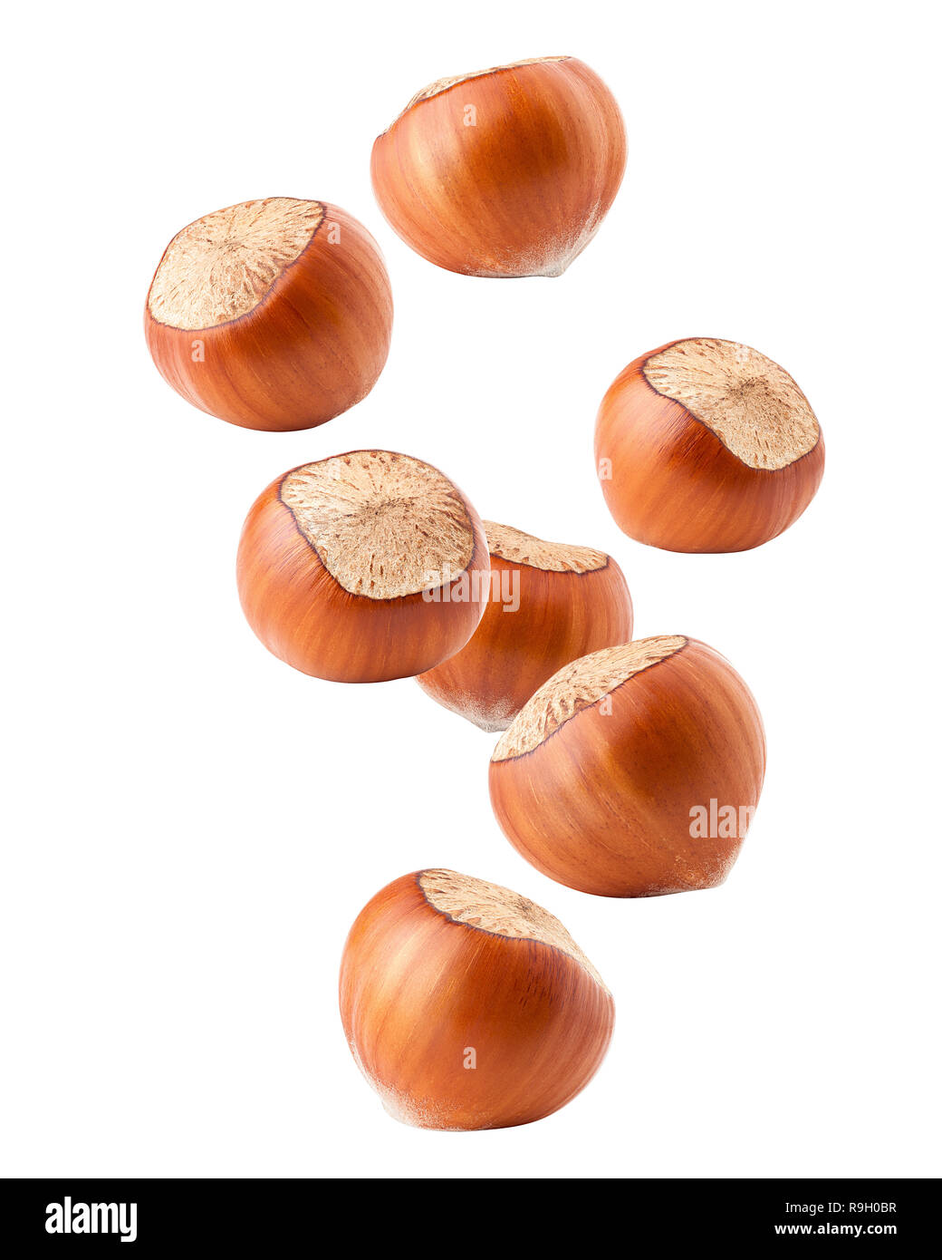 Falling hazelnut isolated on white background, clipping path, full ...