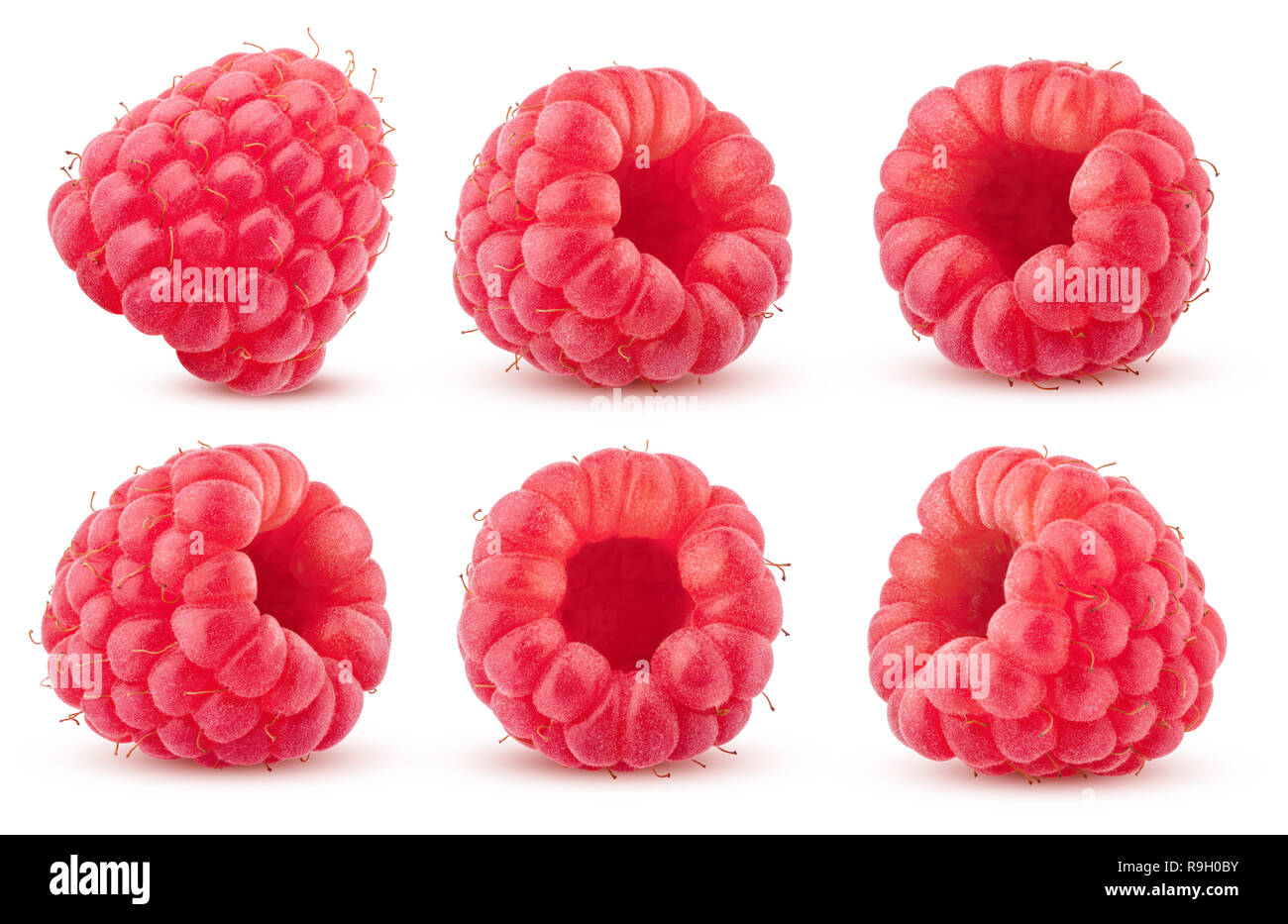 Raspberry isolated on white background, clipping path, full depth of ...