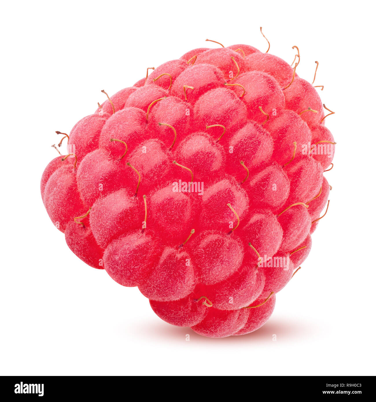 Raspberry isolated on white background, clipping path, full depth of ...