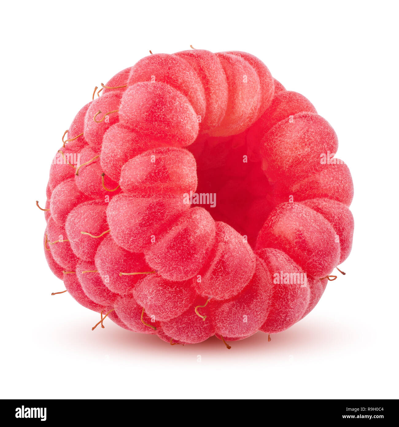 Raspberry isolated on white background, clipping path, full depth of ...