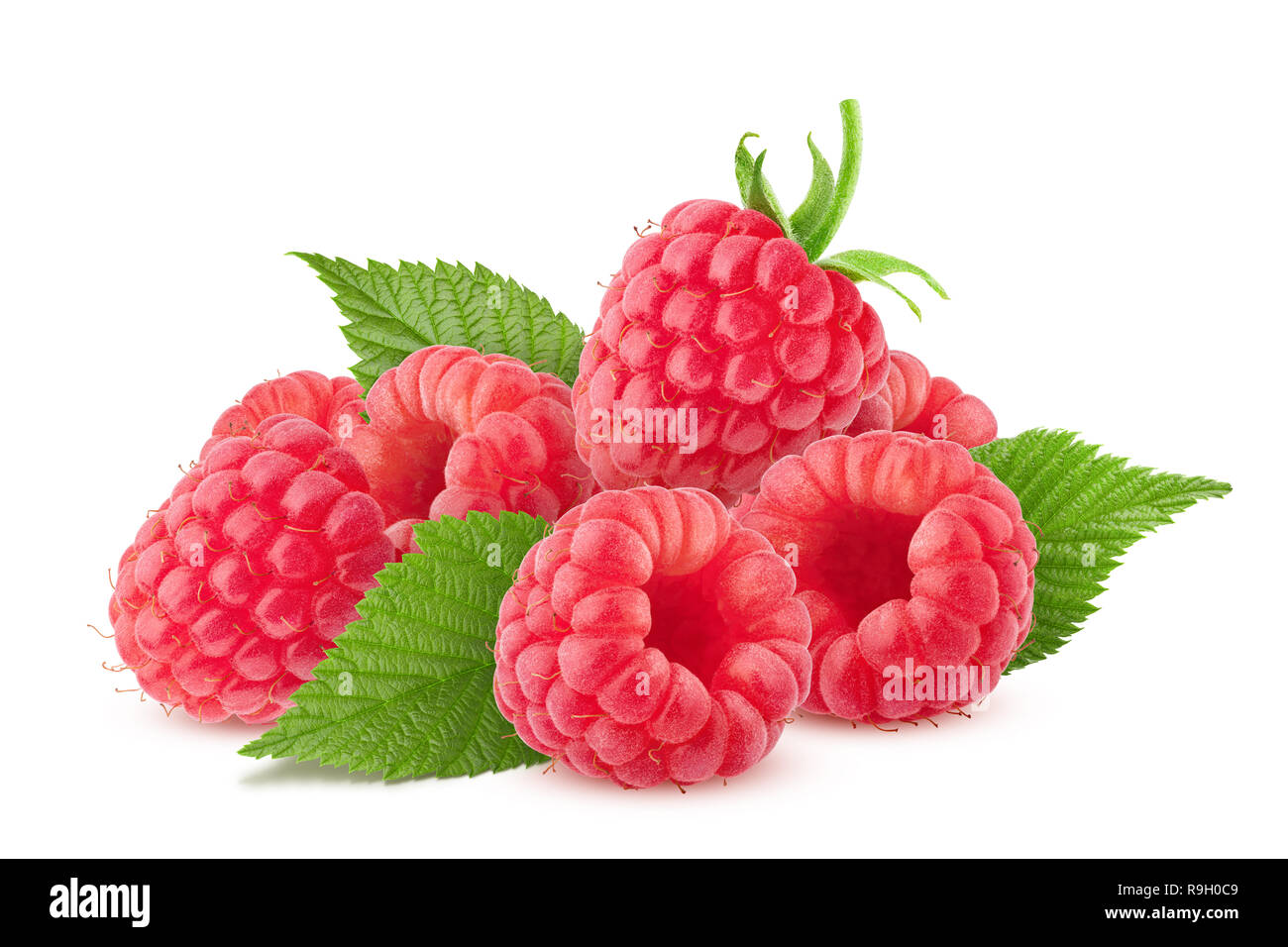 Raspberry isolated on white background, clipping path, full depth of ...