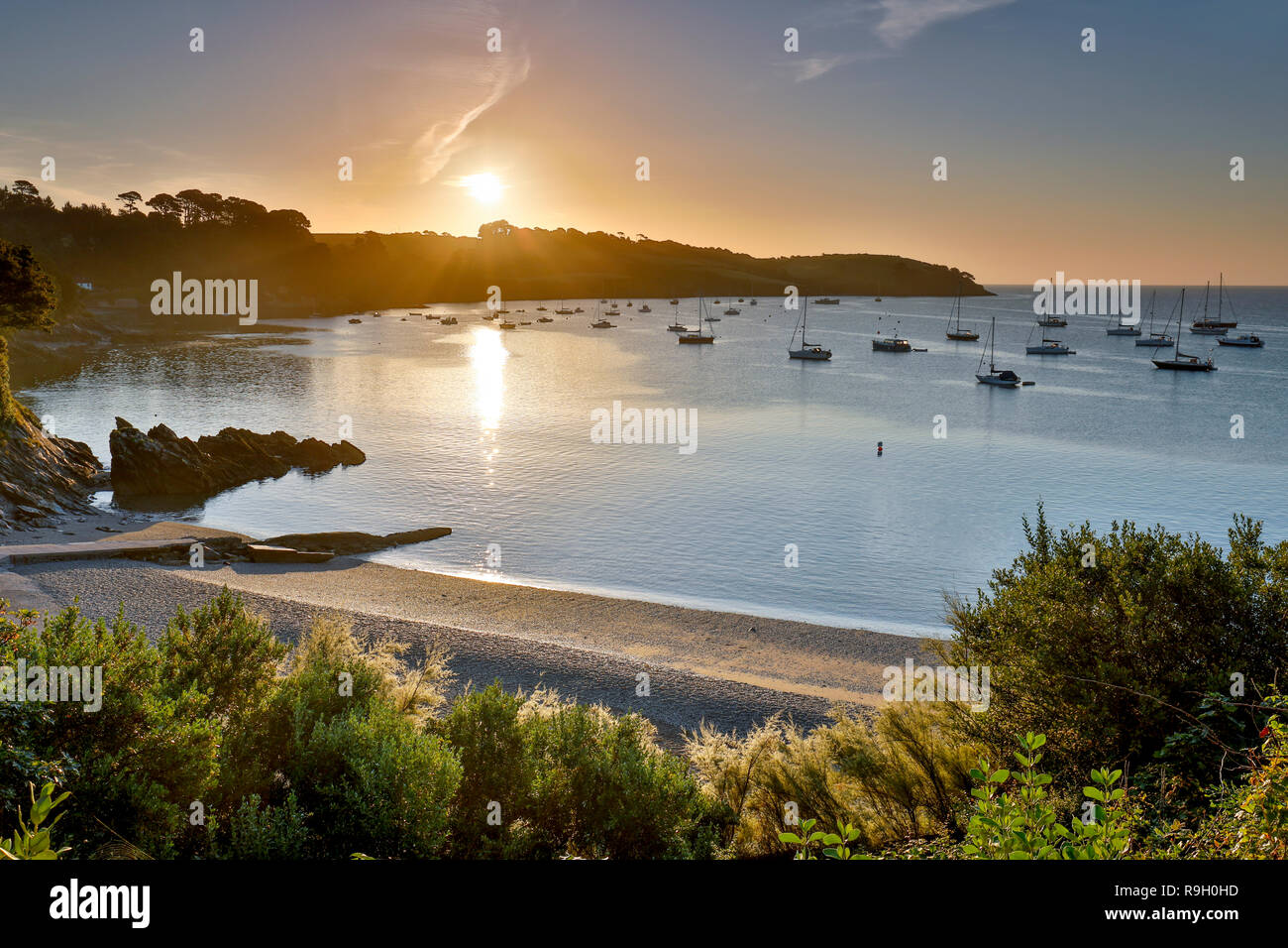 Trebah Beach; Helford Estuary; Cornwall; UK Stock Photo - Alamy