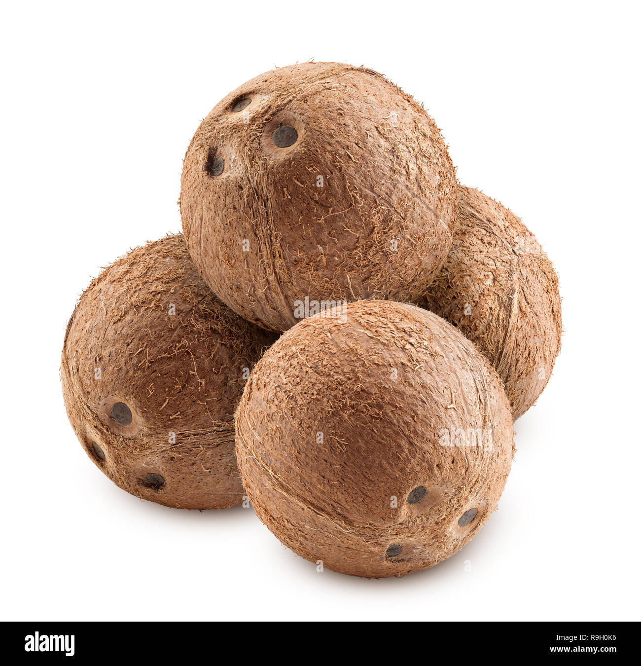 coconuts whole, isolated on white background, clipping path, full depth ...