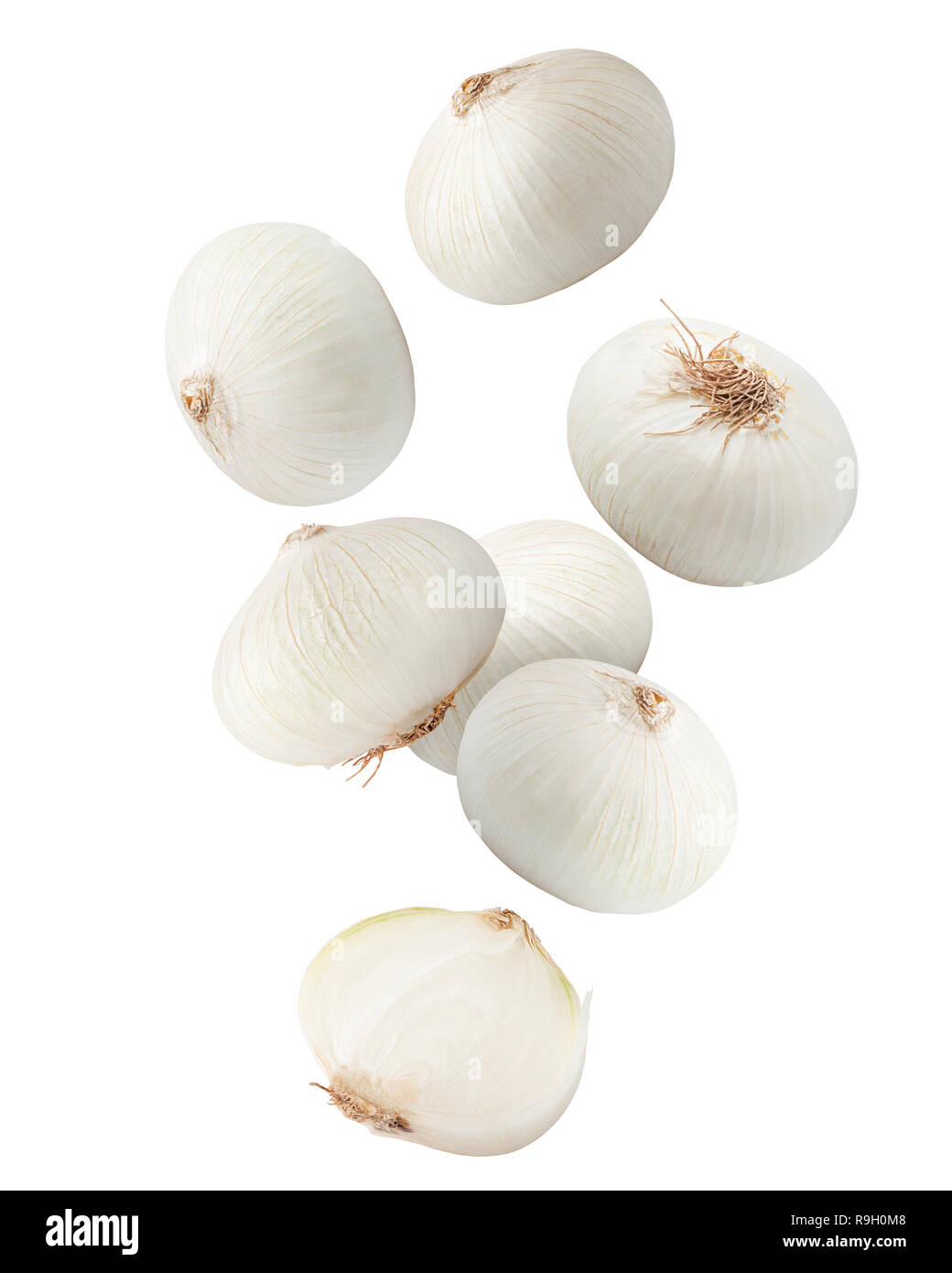 Falling onion, isolated on white background, clipping path, full depth ...