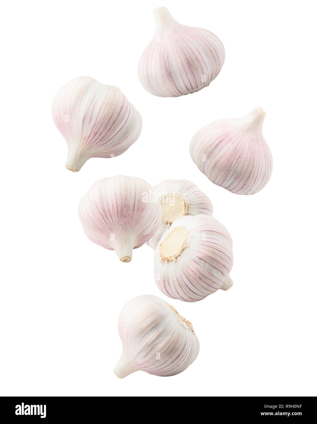 Falling garlic, isolated on white background, clipping path, full depth ...