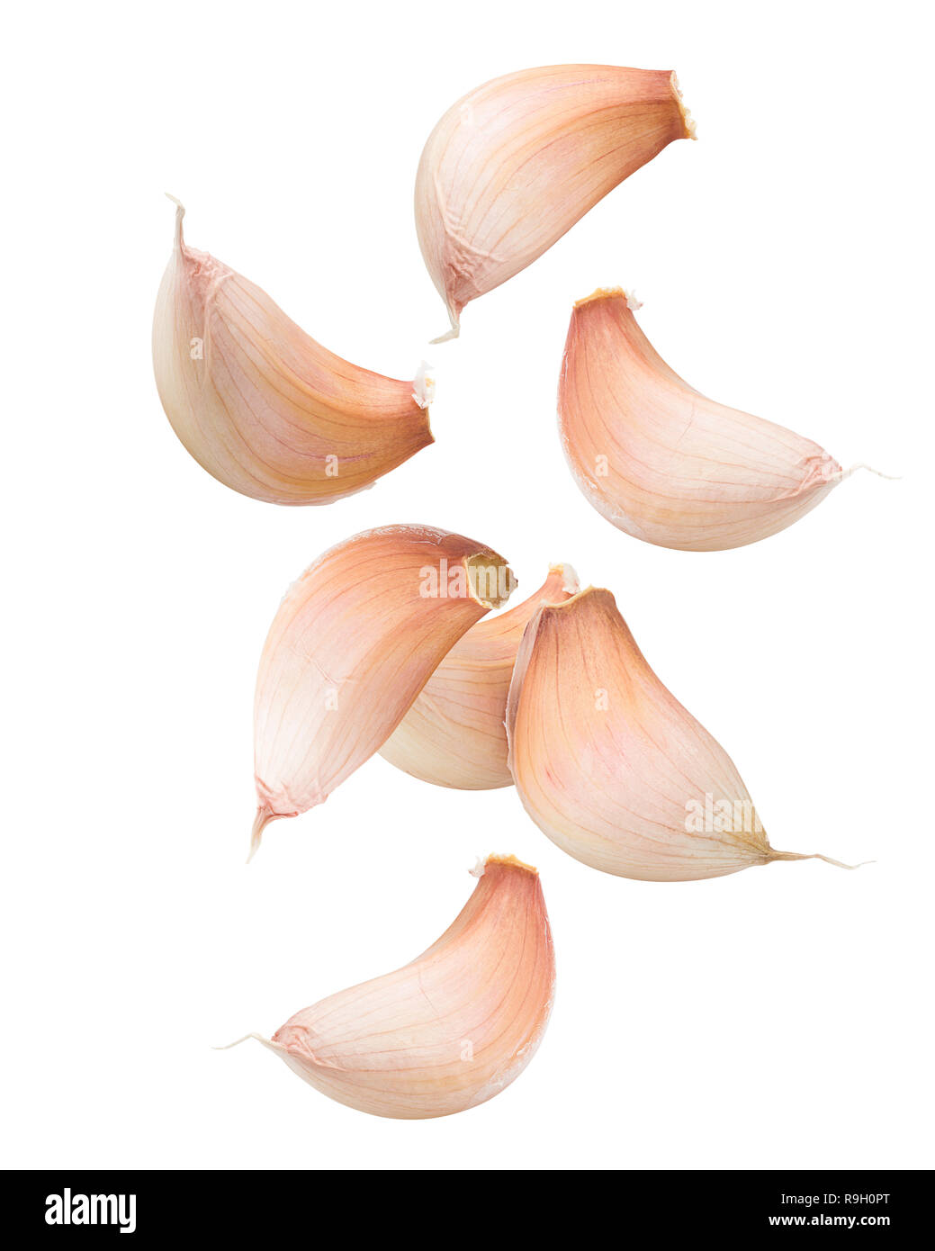 Falling garlic, isolated on white background, clipping path, full depth ...