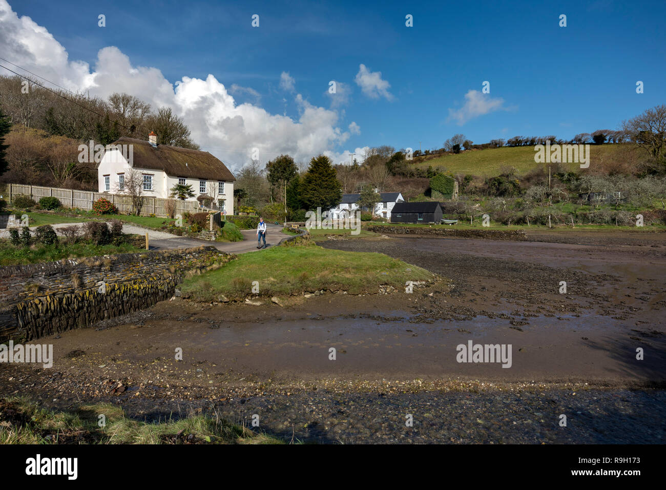 Cornwall Walker High Resolution Stock Photography and Images - Alamy