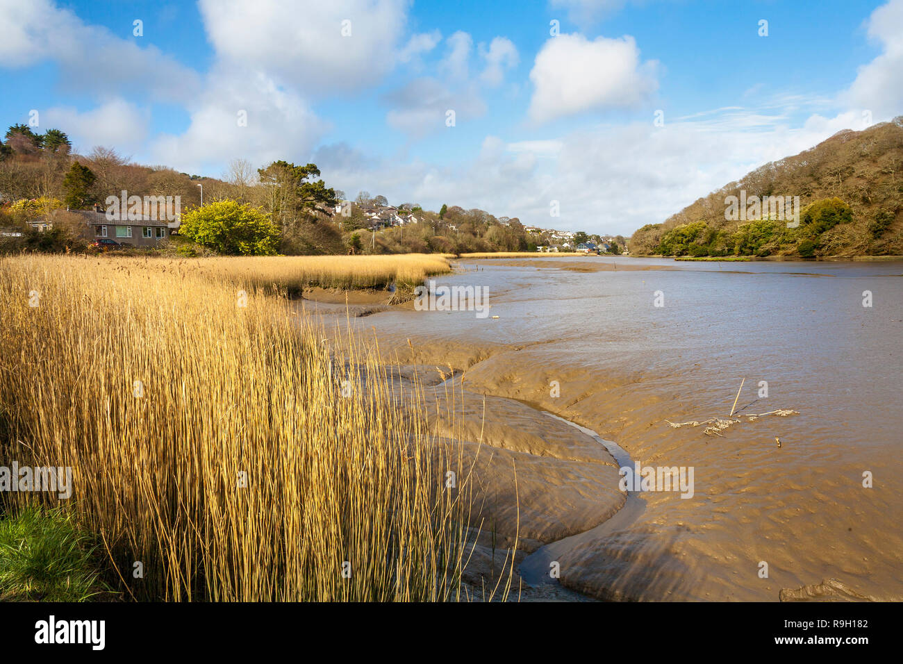 Tresillian River; Cornwall; UK Stock Photo - Alamy