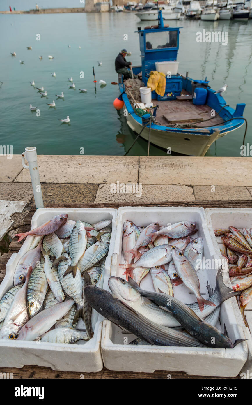 Fish box hi-res stock photography and images - Alamy