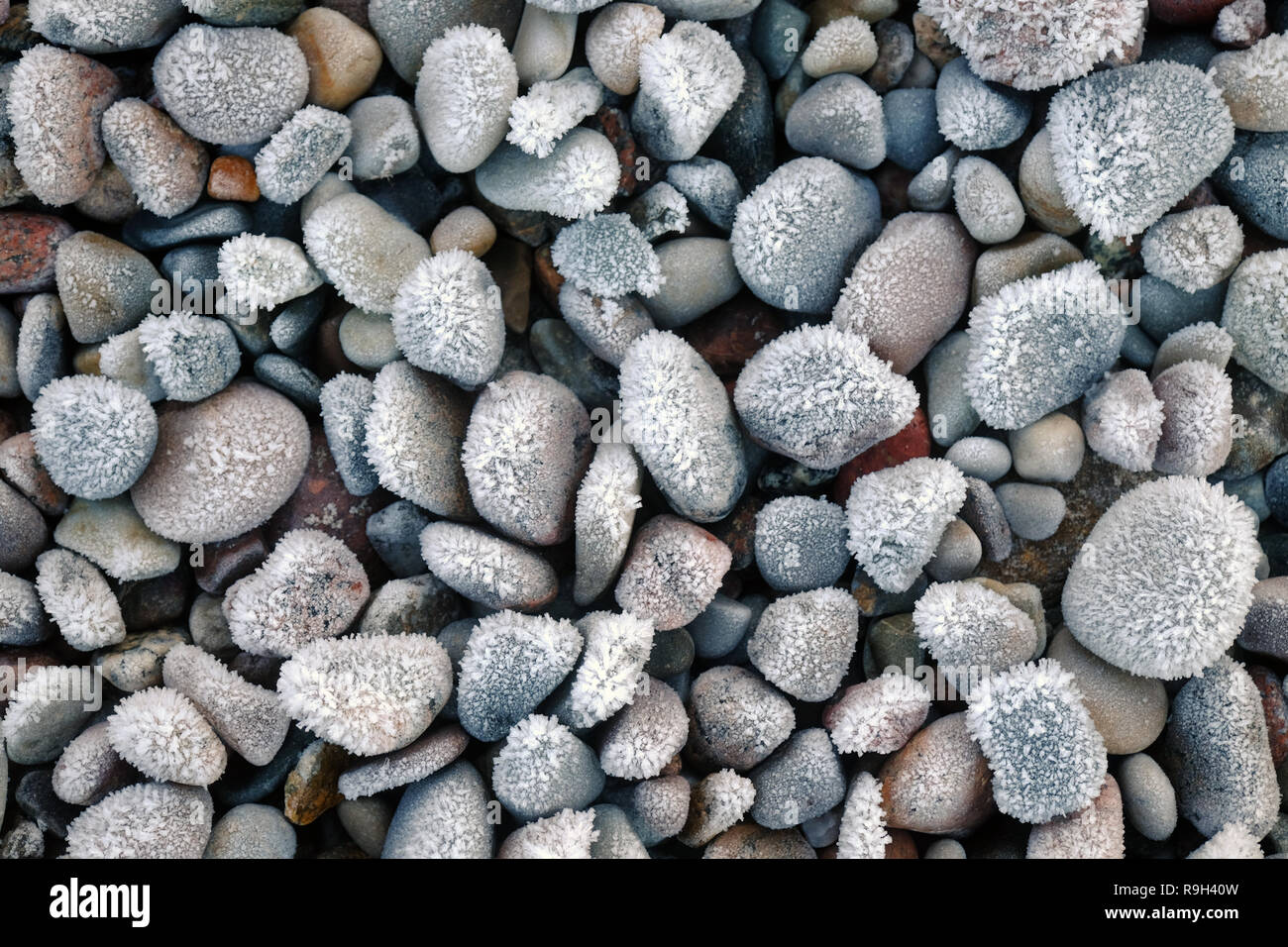 Stones on the beach, texture, background Stock Photo - Alamy
