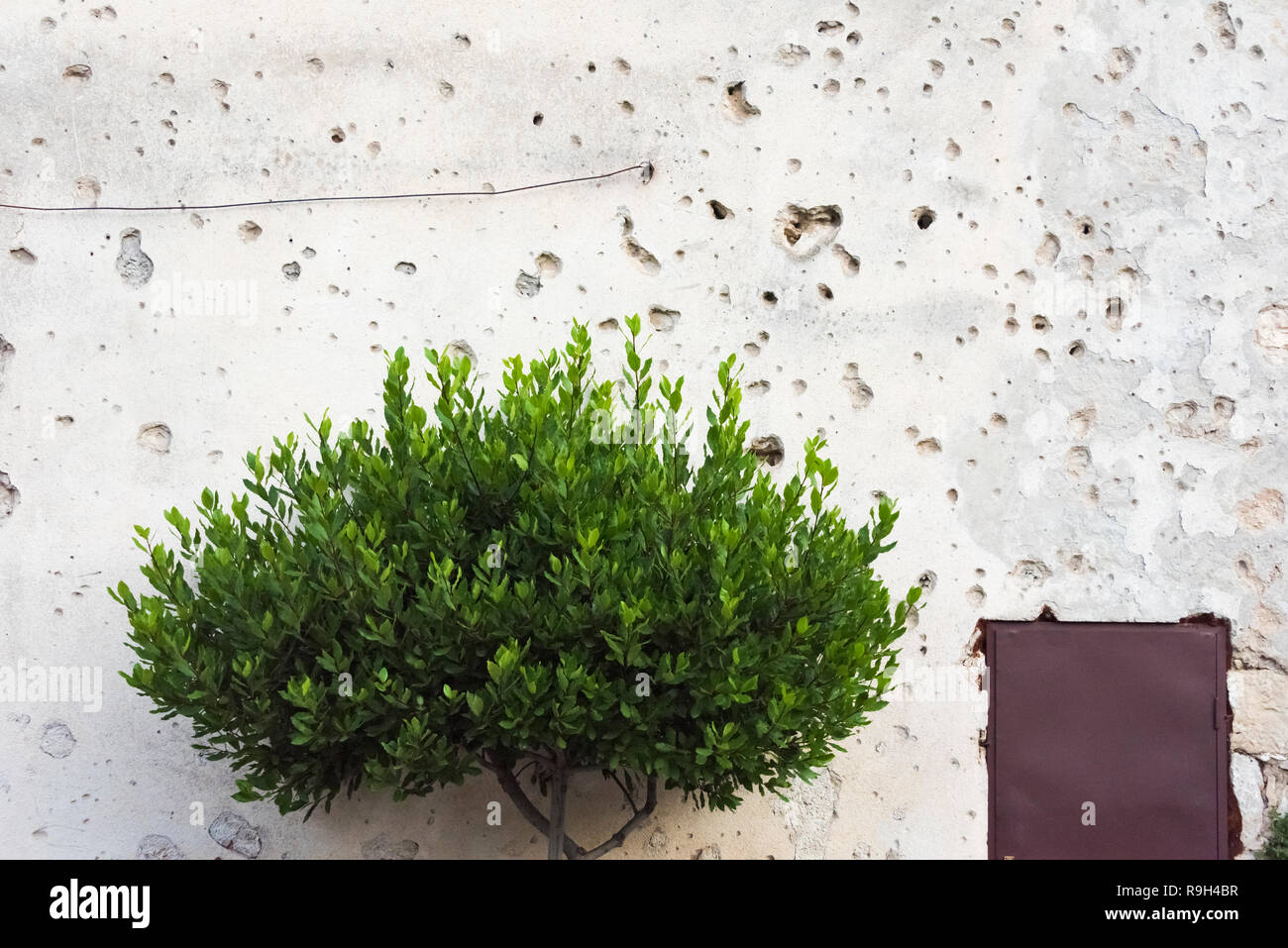 Bullet holes wall hi-res stock photography and images - Alamy