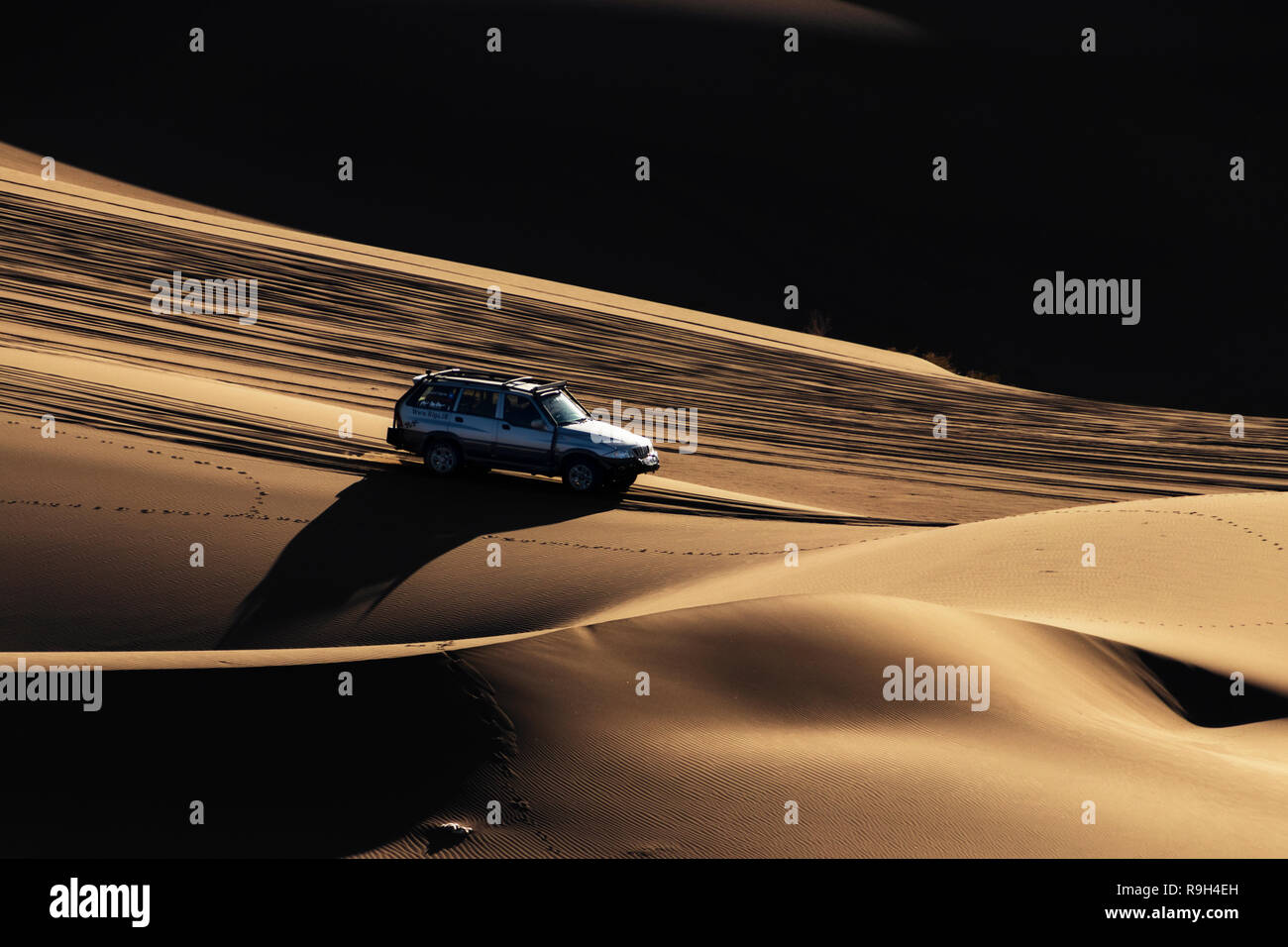 Off-road riding on desert Stock Photo - Alamy