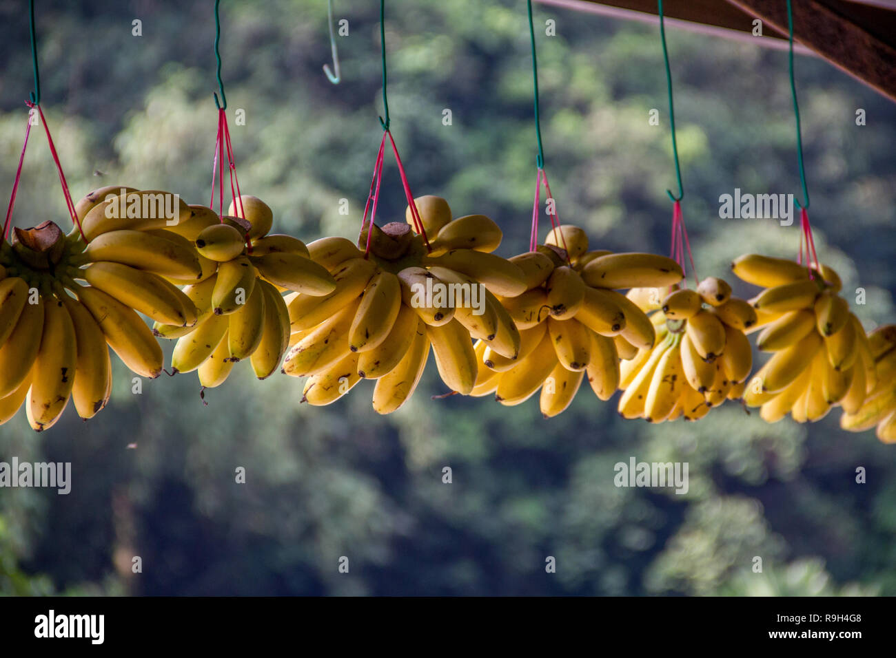 Car ferry penang hi-res stock photography and images - Alamy