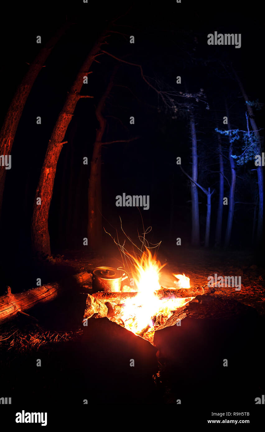 Cooking food near campfire in the dark forest at night Stock Photo - Alamy