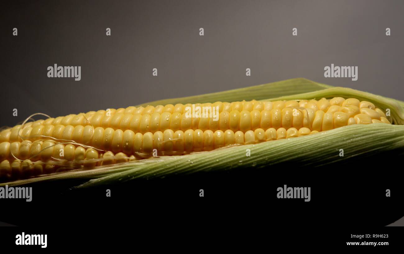 Yellow corn pods Stock Photo - Alamy