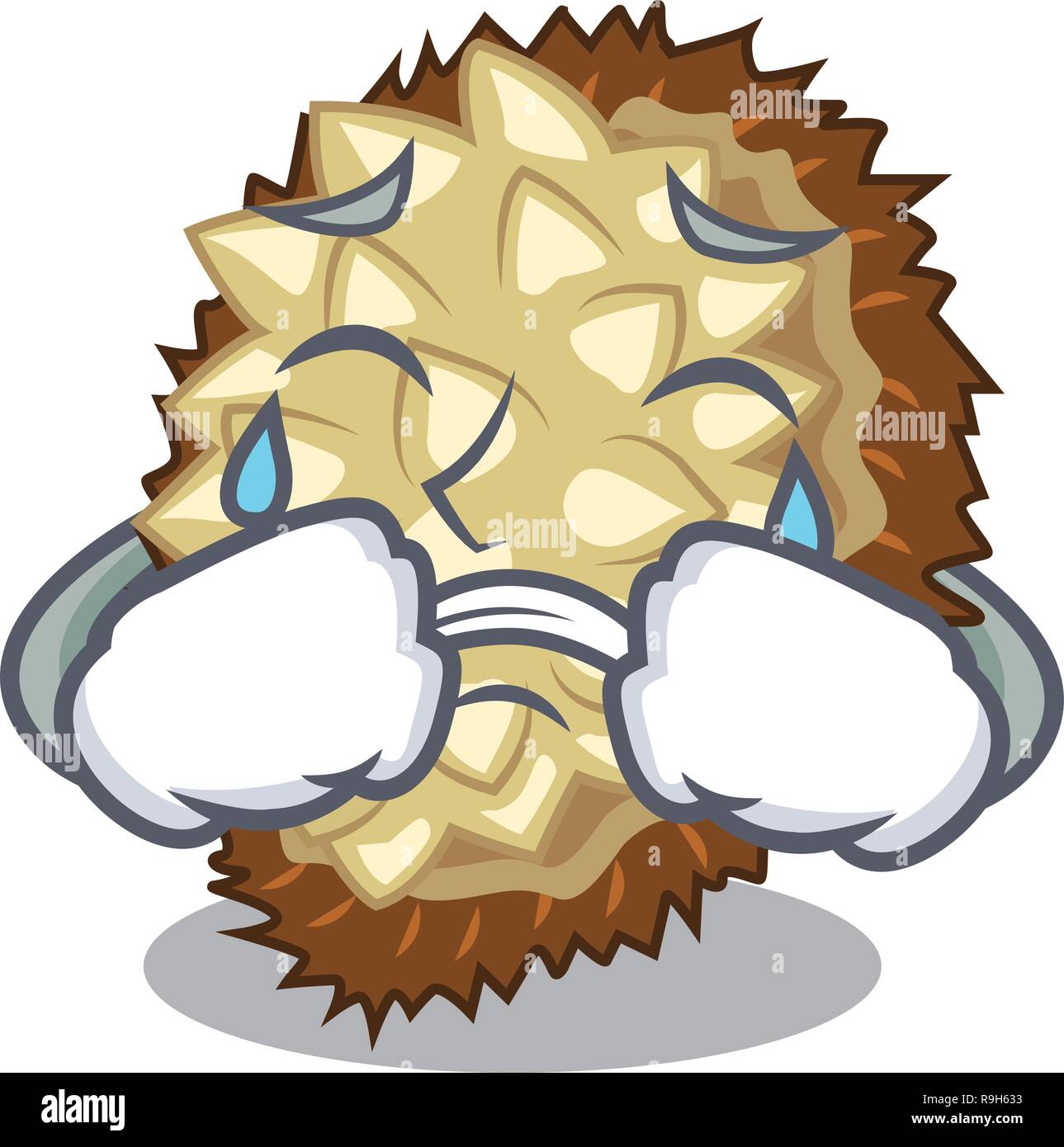 Marang fruit hi-res stock photography and images - Alamy