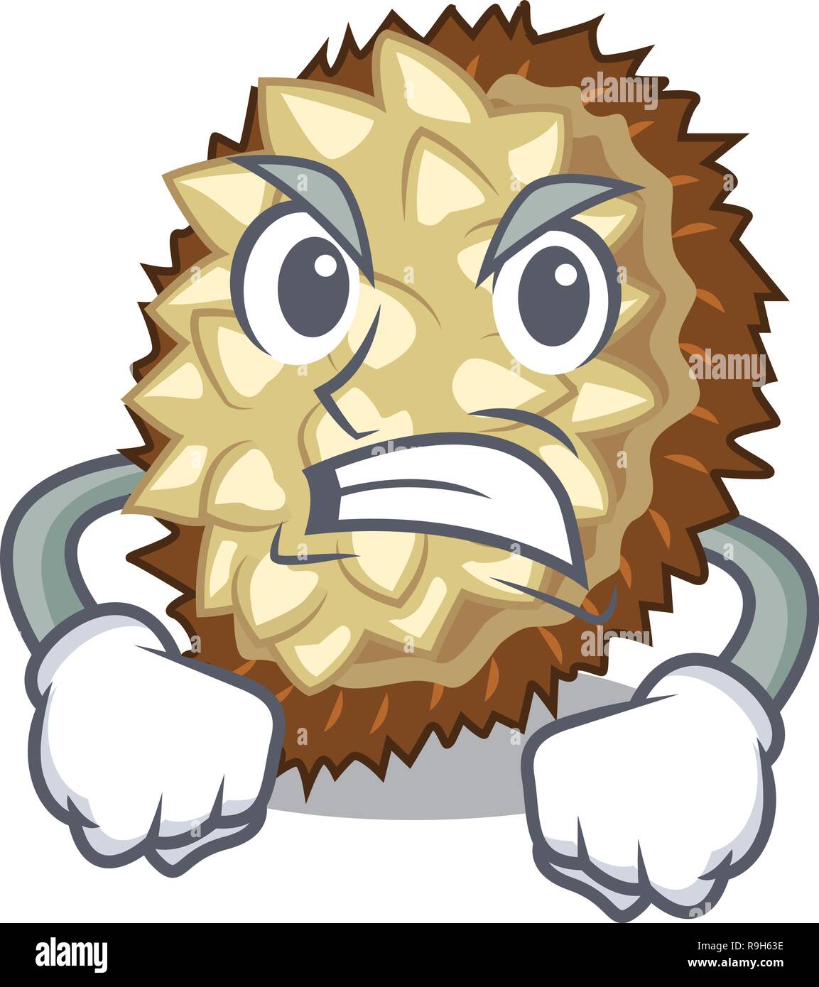 Marang fruit hi-res stock photography and images - Alamy