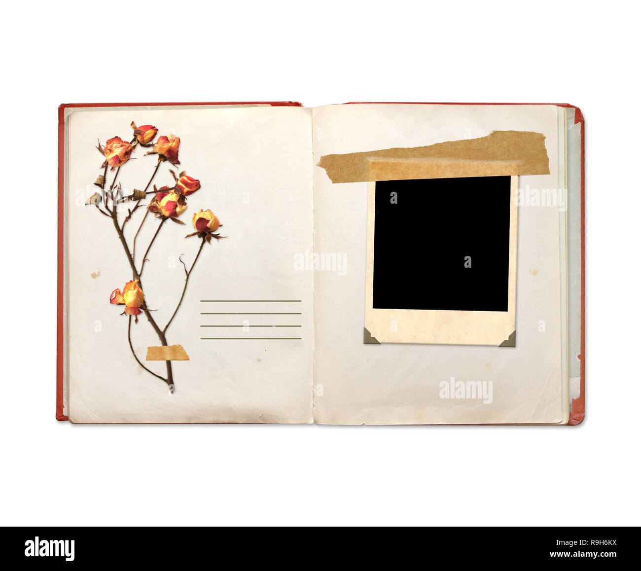 Old book and photos. Objects isolated on white background Stock Photo ...