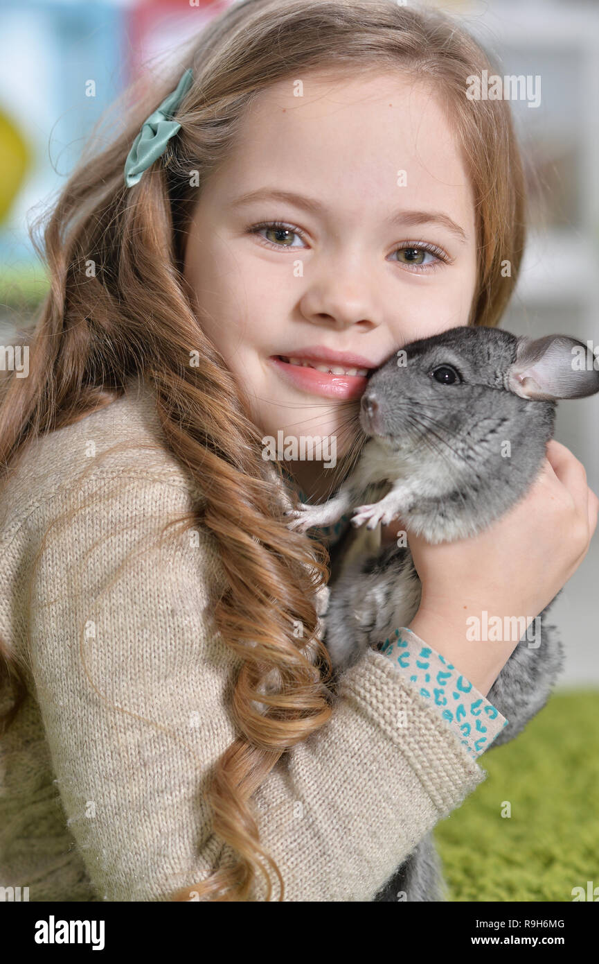 Cute little girl playing with chinchilla at home Stock Photo - Alamy