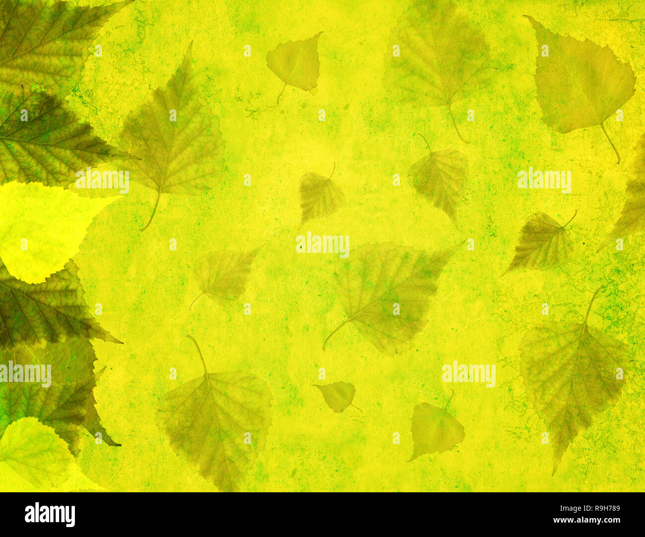 Grunge background with spring leaves Stock Photo - Alamy
