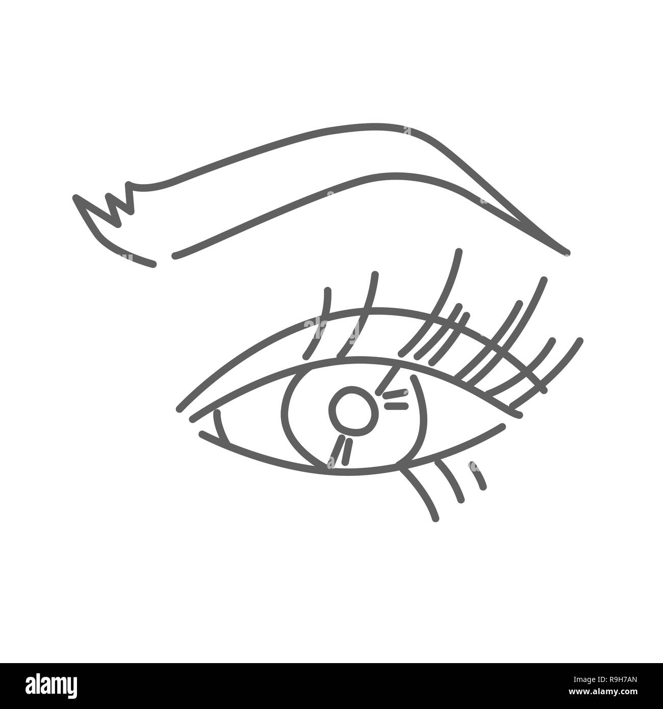 Female Eyebrow Drawing