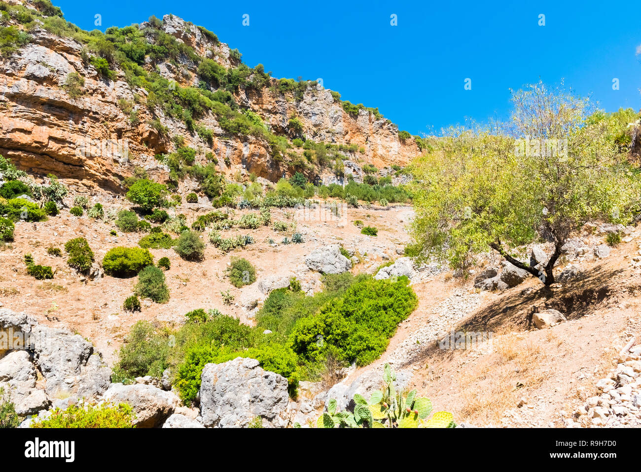 Hiking in Morocco's Rif Mountains under Chefchaouen city, Morocco in ...