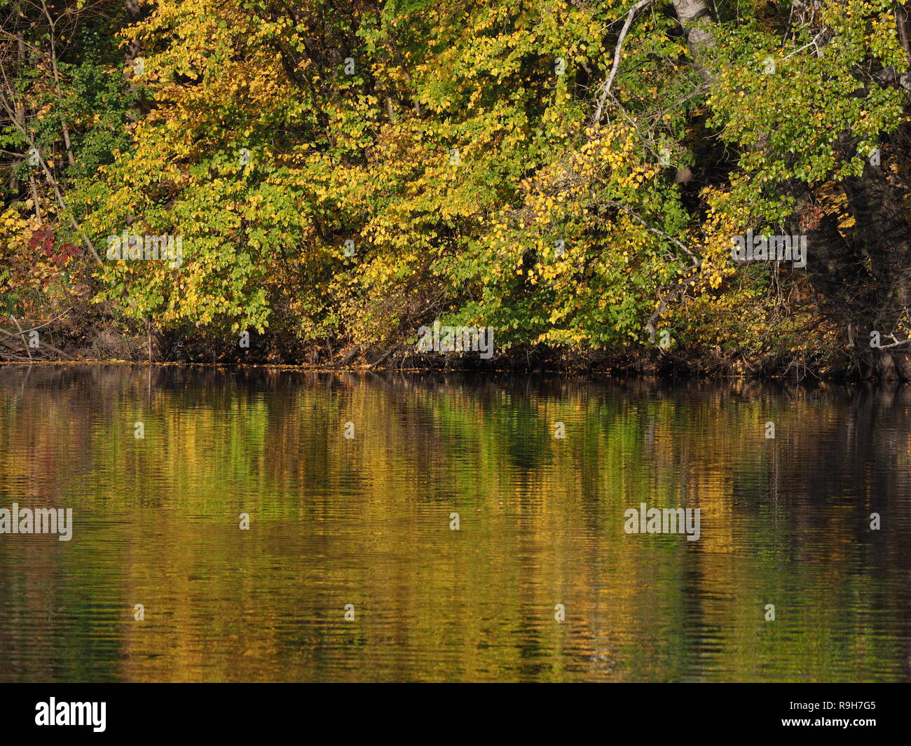 Beauty landscapes of colorful trees and river with water reflection at ...