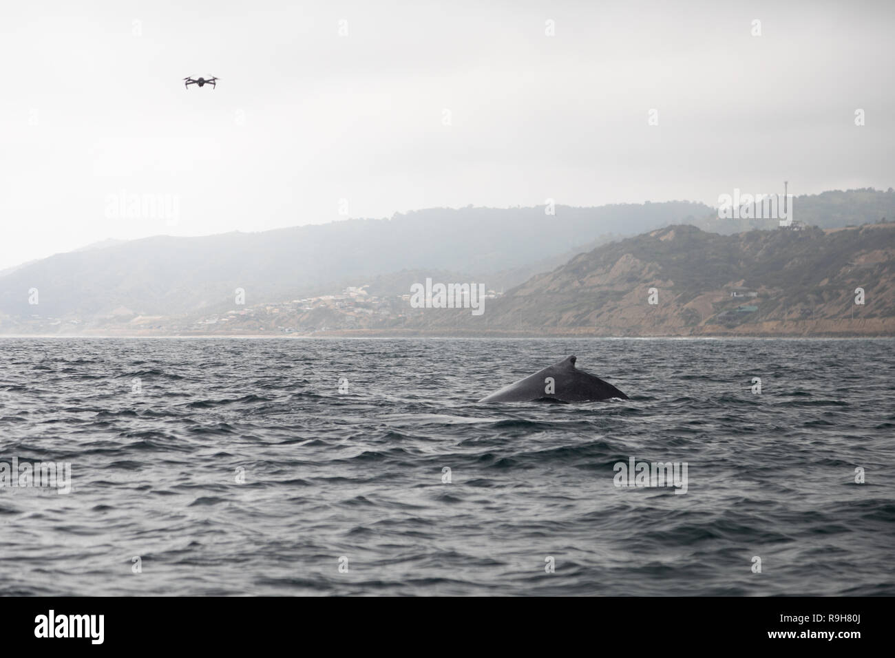 Counting photos hi-res stock photography and images - Alamy