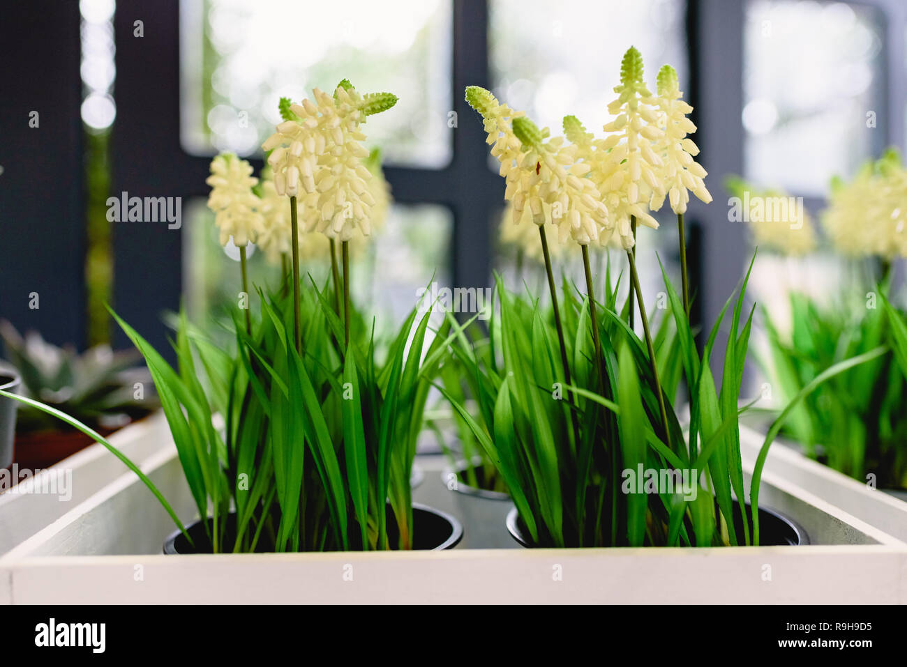 Flowers of plastic of intense colors to decorate the home Stock Photo ...