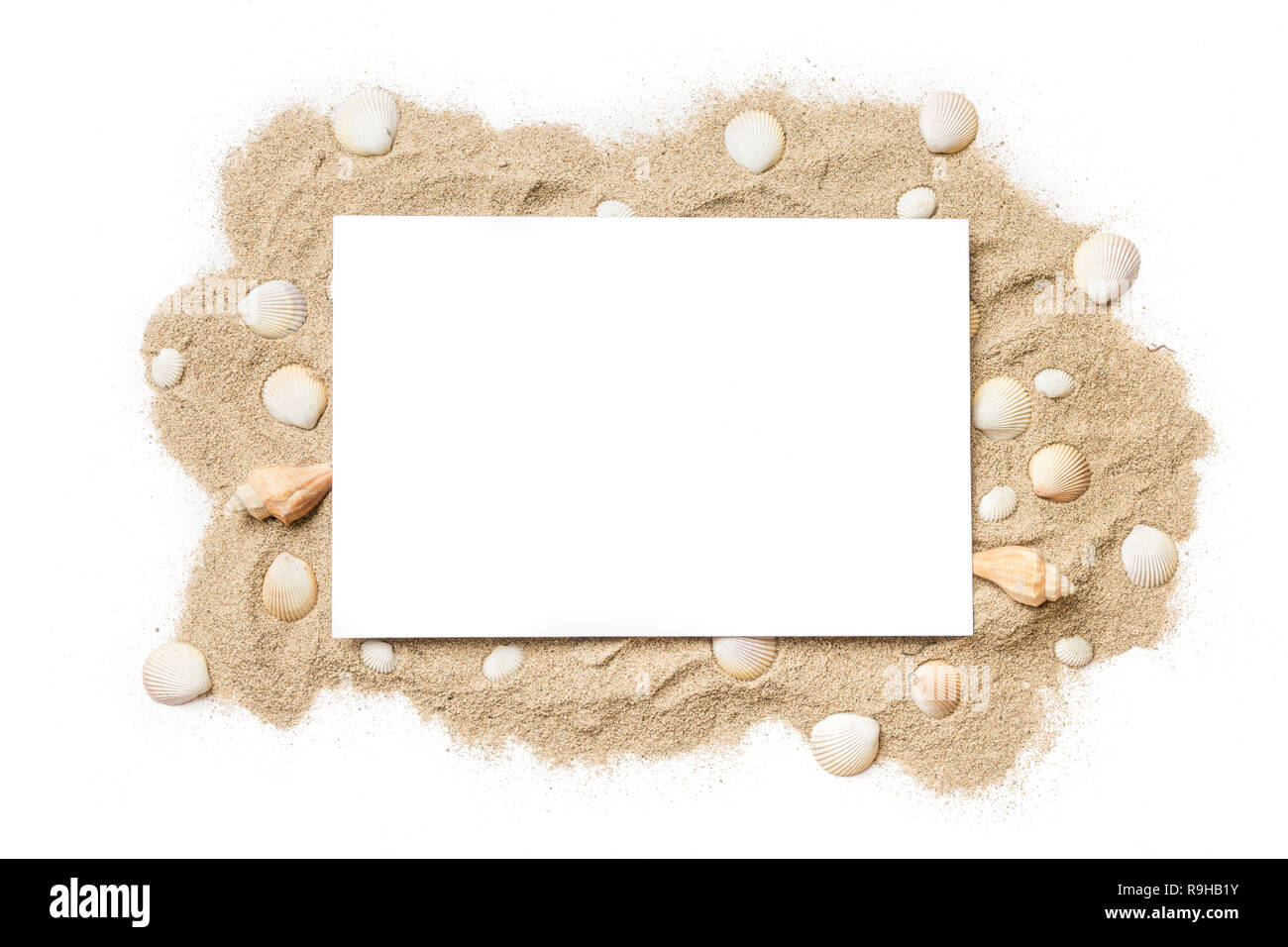 Summer sand and sea shells themed template design with copy space for ...