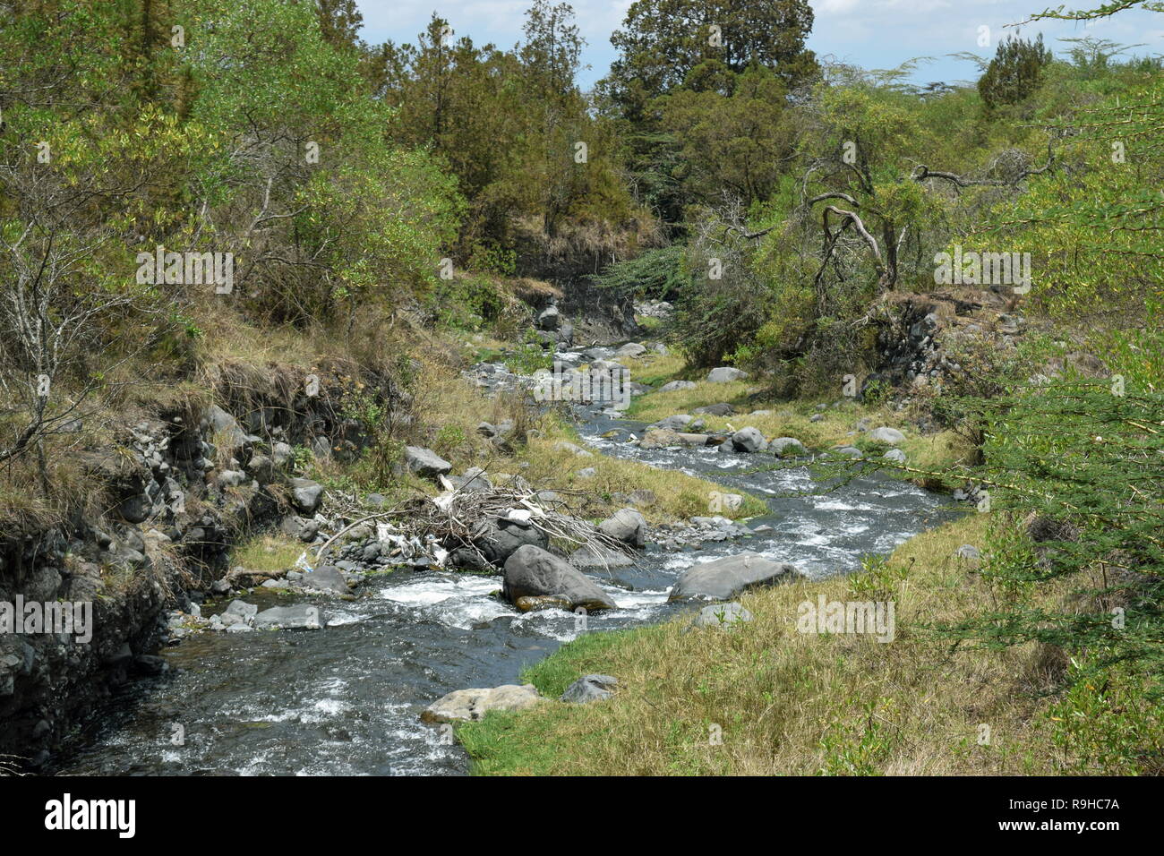 Climbing Mount Meru, Arusha National Park, Tanzania Stock Photo - Alamy