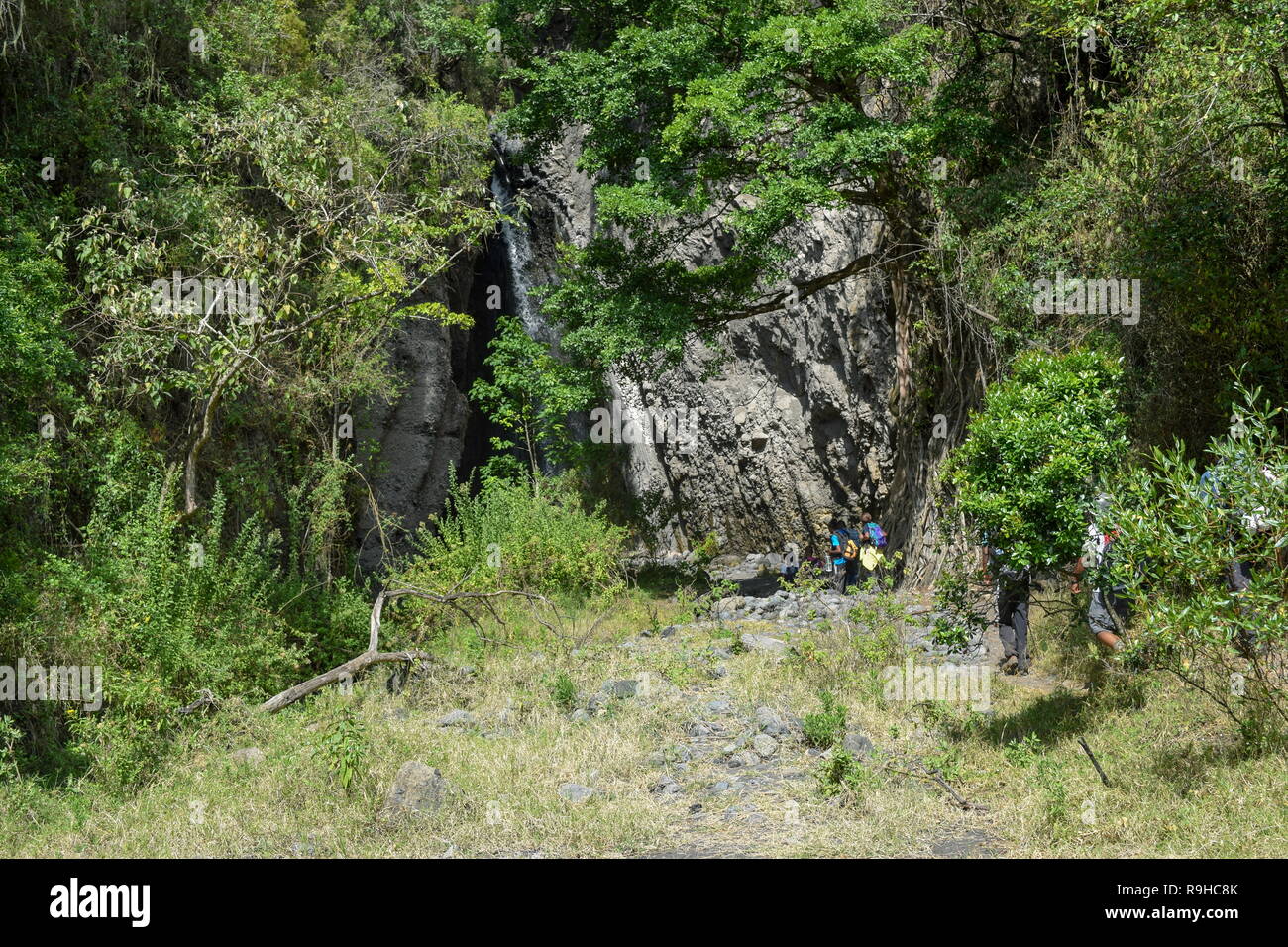 Tululusia Waterfall in Arusha National Park, Tanzania Stock Photo - Alamy