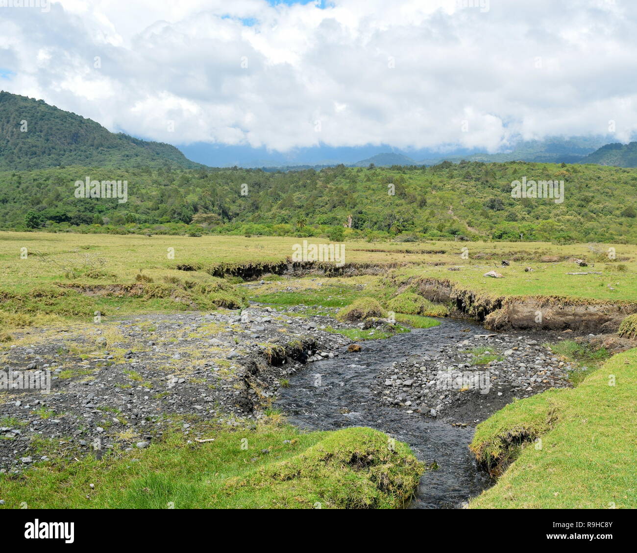 Climbing Mount Meru, Arusha National Park, Tanzania Stock Photo - Alamy