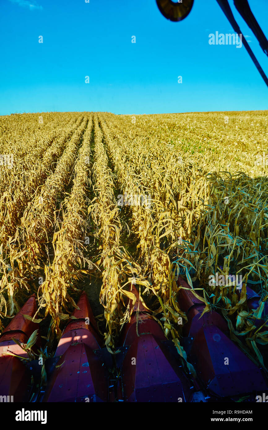 Combine harvester interior hi-res stock photography and images - Alamy
