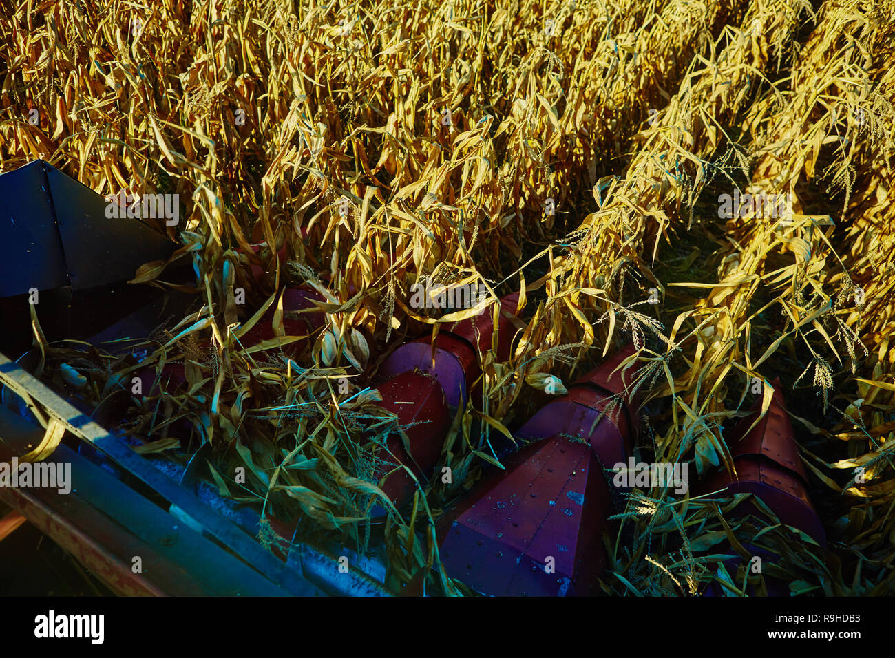 Combine harvester interior hi-res stock photography and images - Alamy