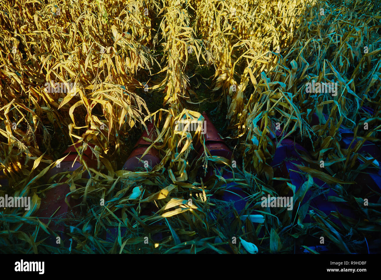 Combine harvester interior hi-res stock photography and images - Alamy