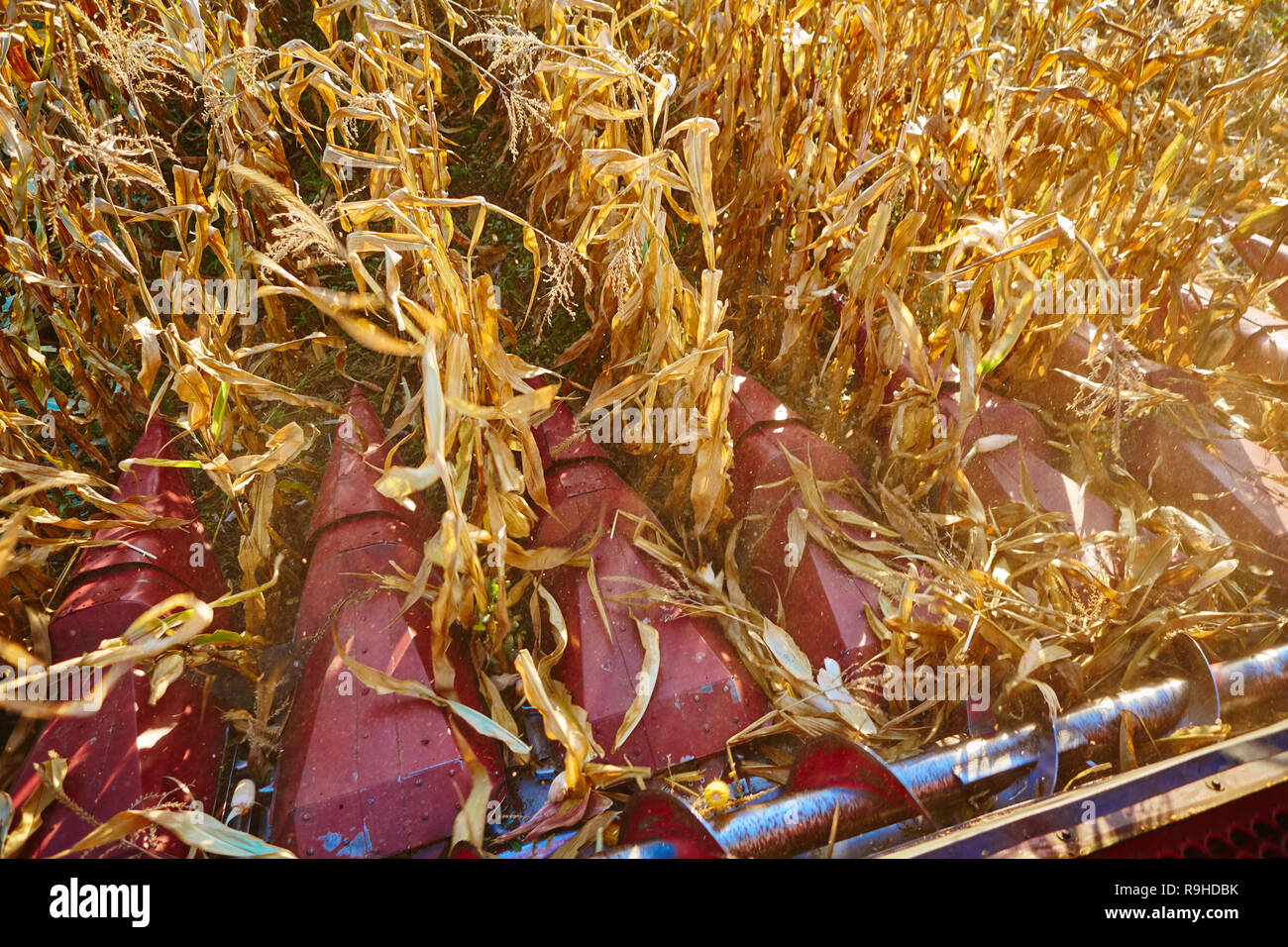 Combine harvester interior hi-res stock photography and images - Alamy
