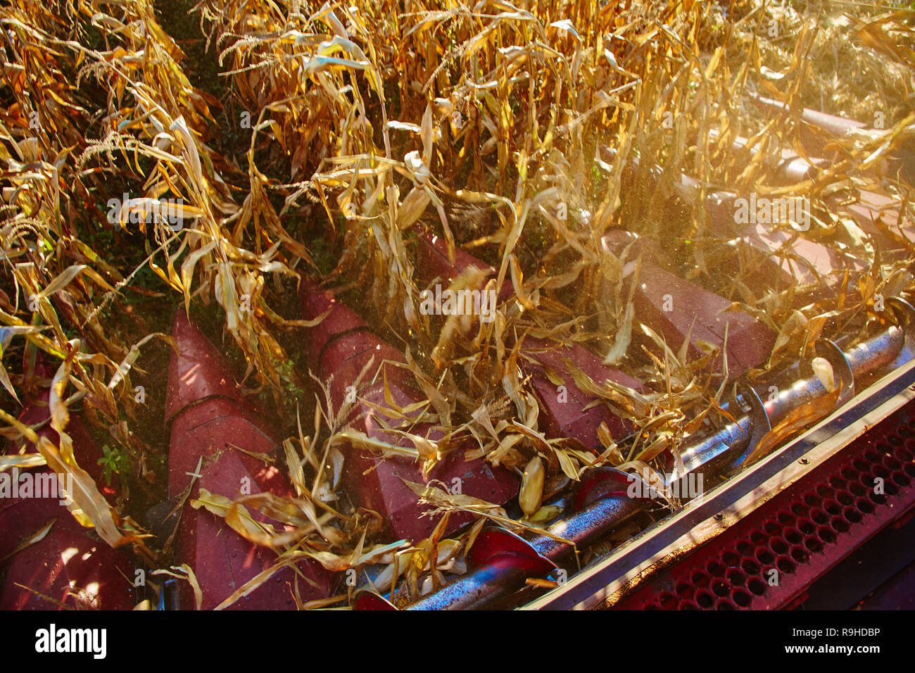 Combine harvester interior hi-res stock photography and images - Alamy