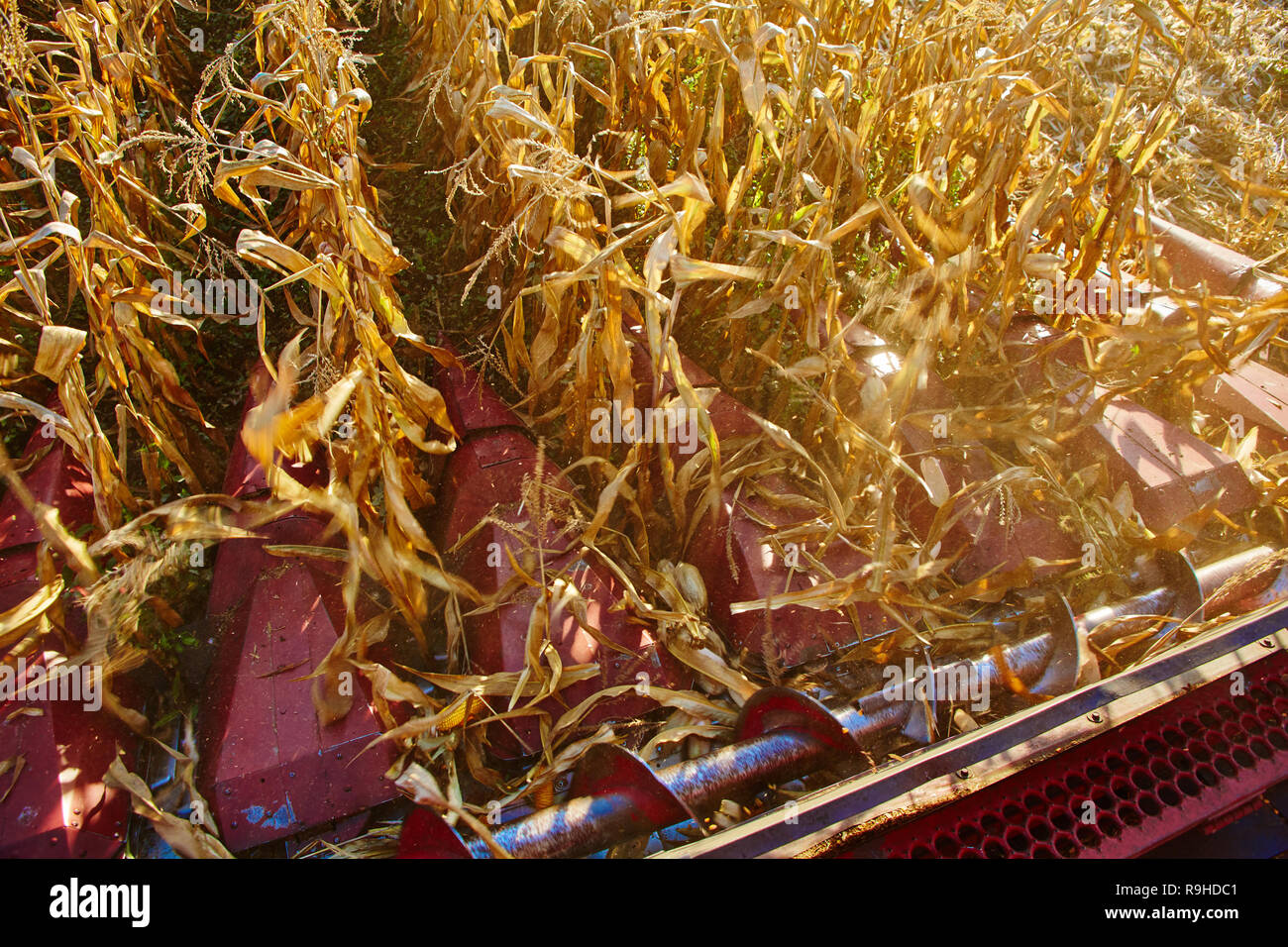 Combine harvester interior hi-res stock photography and images - Alamy