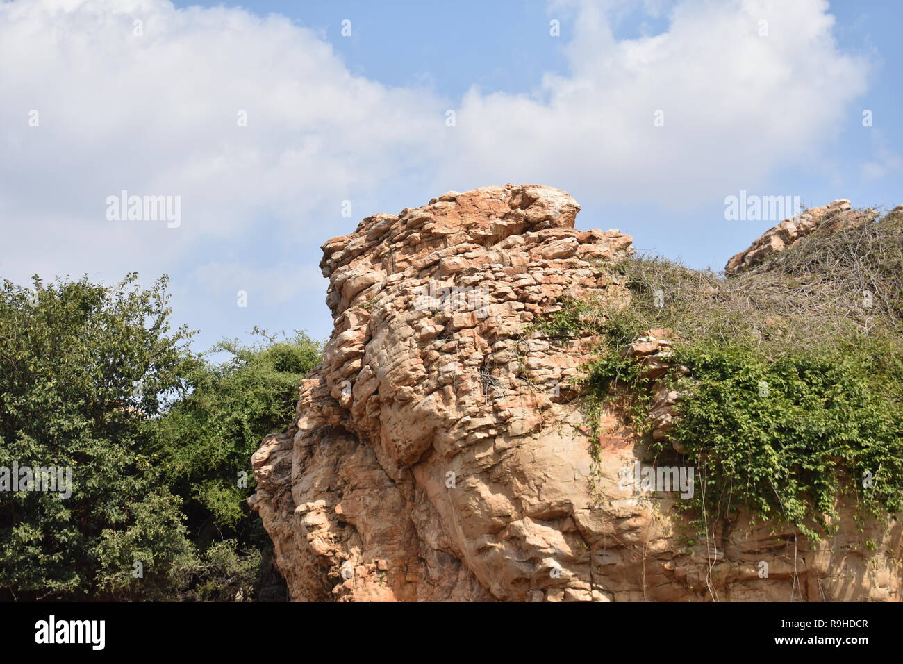 Work of nature hi-res stock photography and images - Alamy