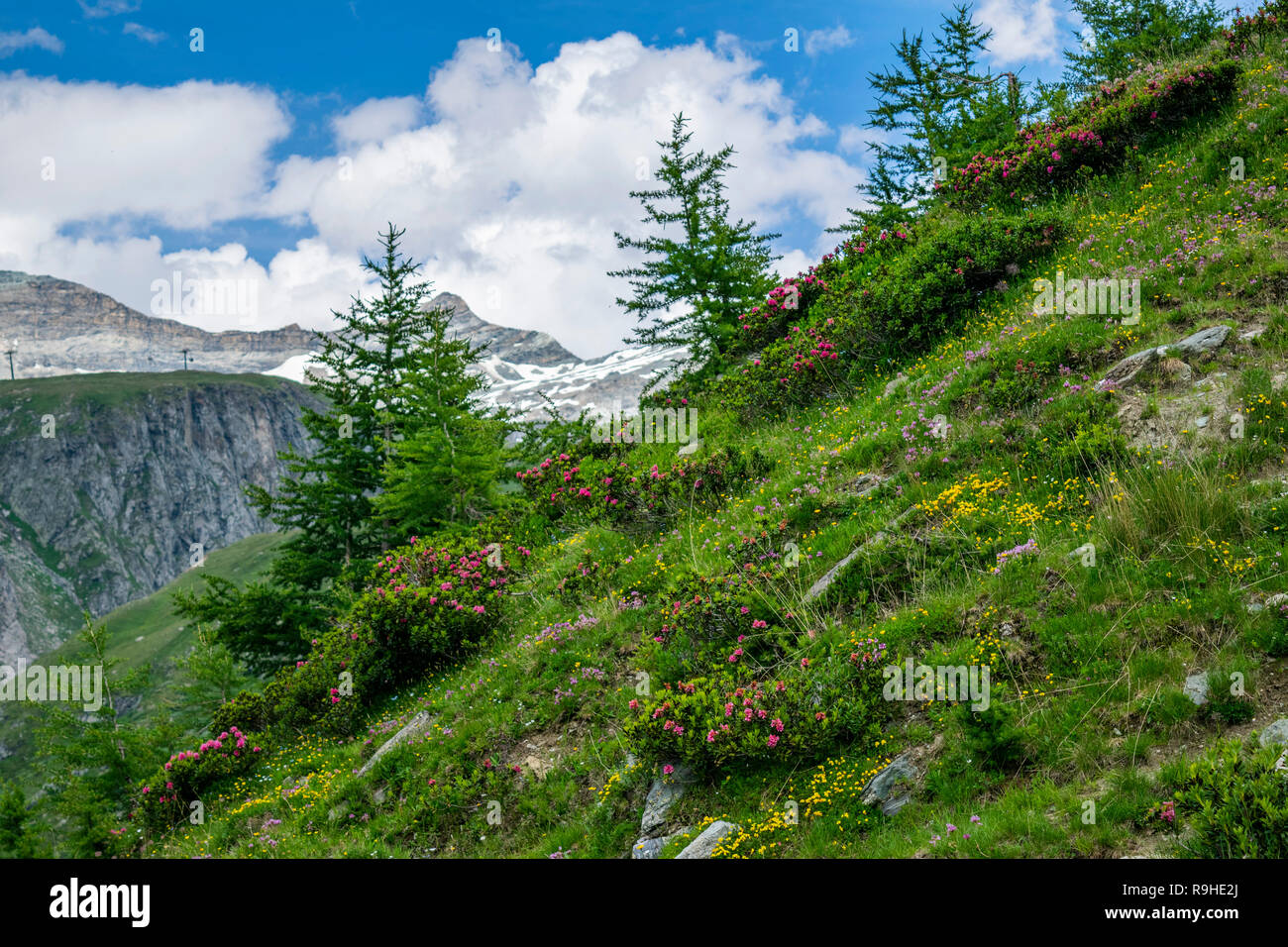 Wallpaper tourism summer hi-res stock photography and images - Alamy