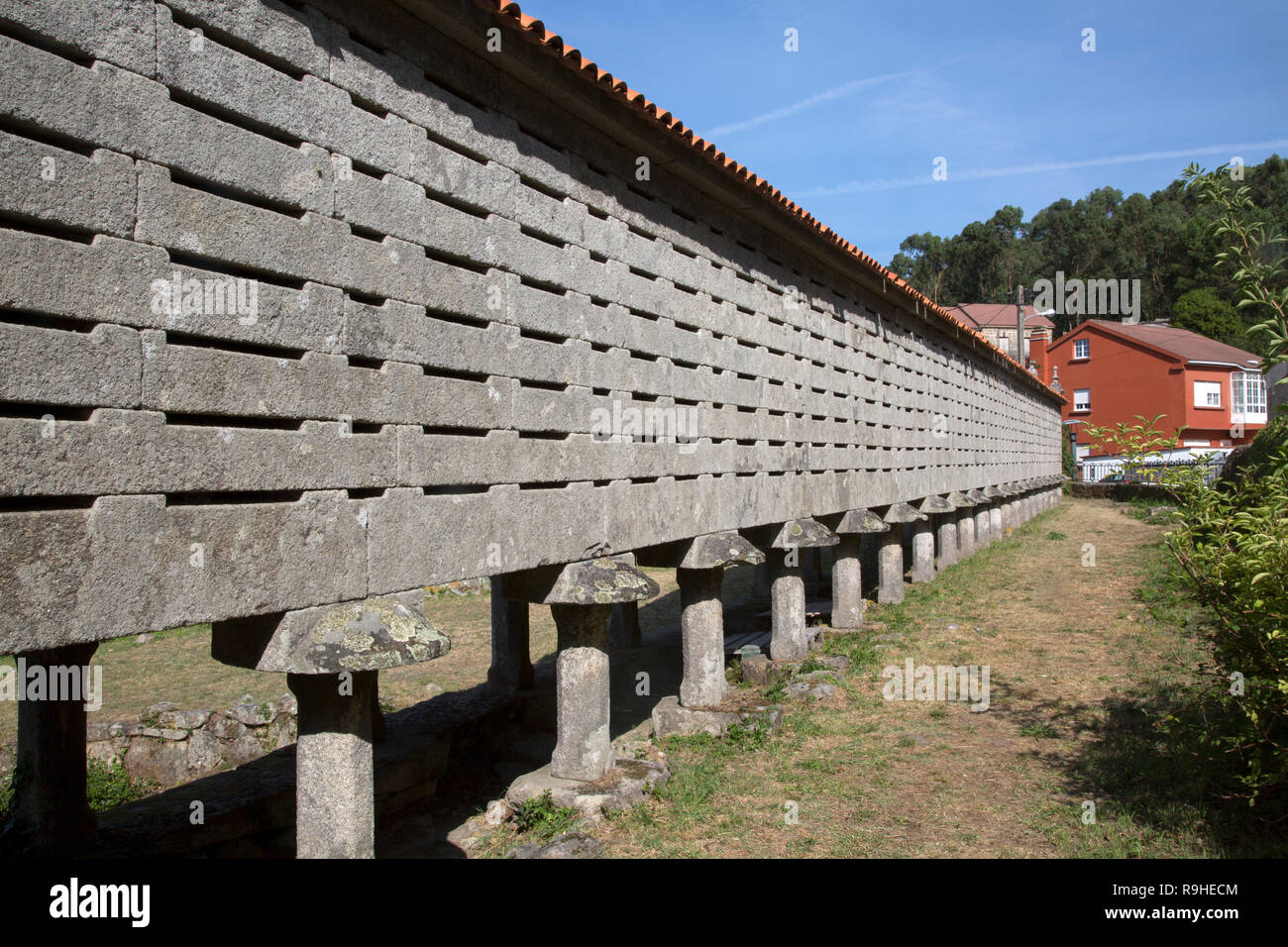 Lira galicia hi-res stock photography and images - Alamy