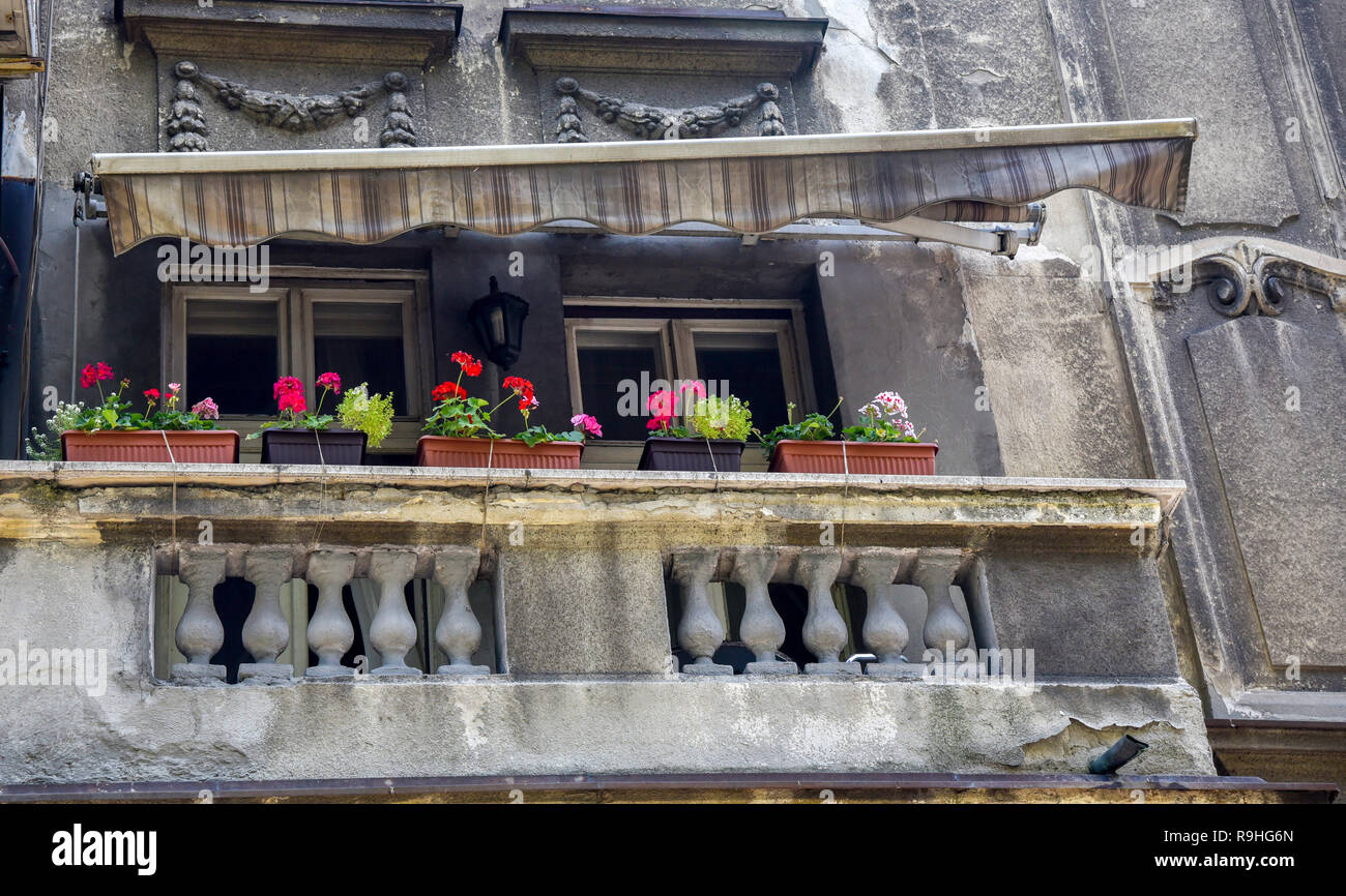 Geranium flowers on the balcony of an ancient European building Stock ...