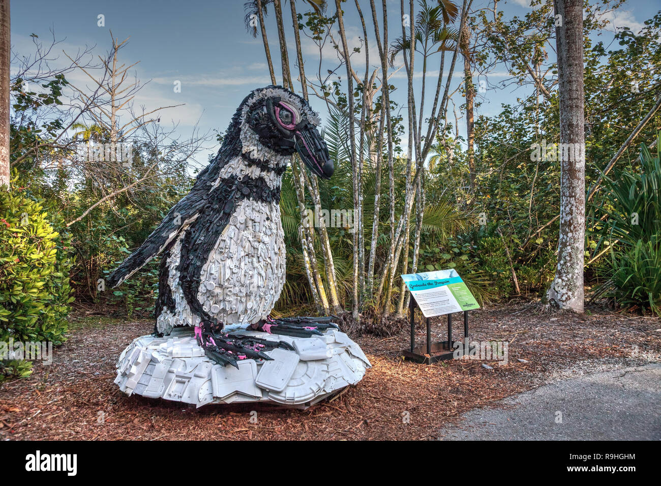 Naples, Florida, USA – December 23, 2018: Gertrude the Penguin ...