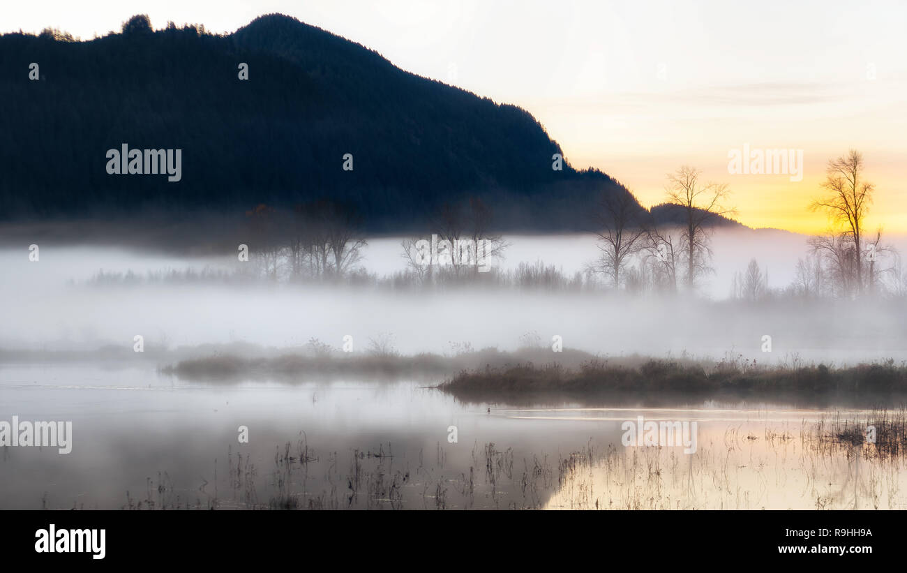 Pitt meadows marsh hi-res stock photography and images - Alamy