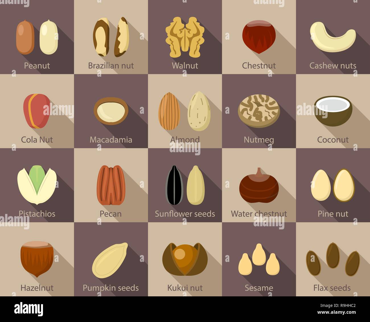 Nut icon set, flat style Stock Vector Image & Art - Alamy