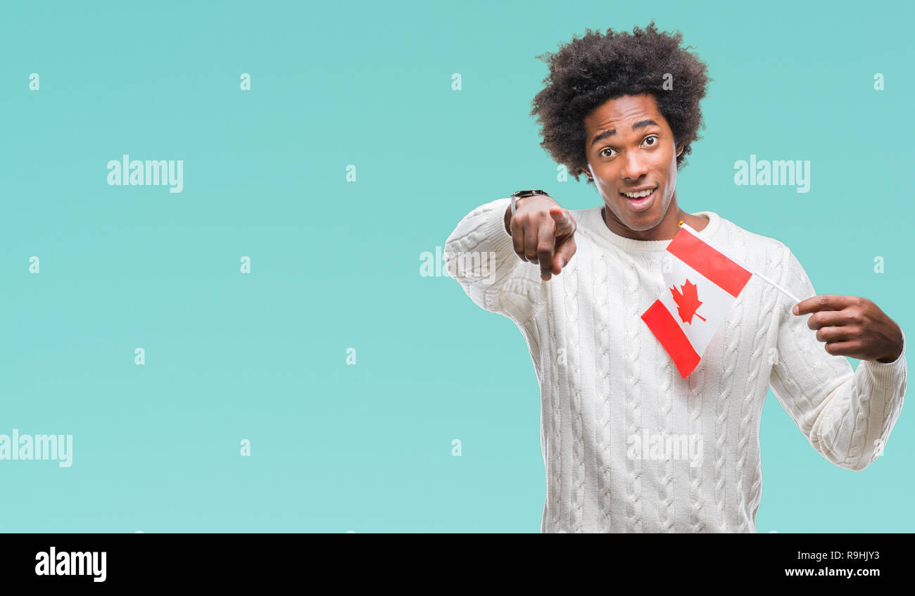 Afro american man flag of Canada over isolated background pointing with ...