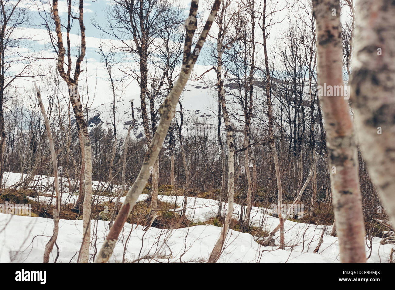 Depressing season hi-res stock photography and images - Alamy