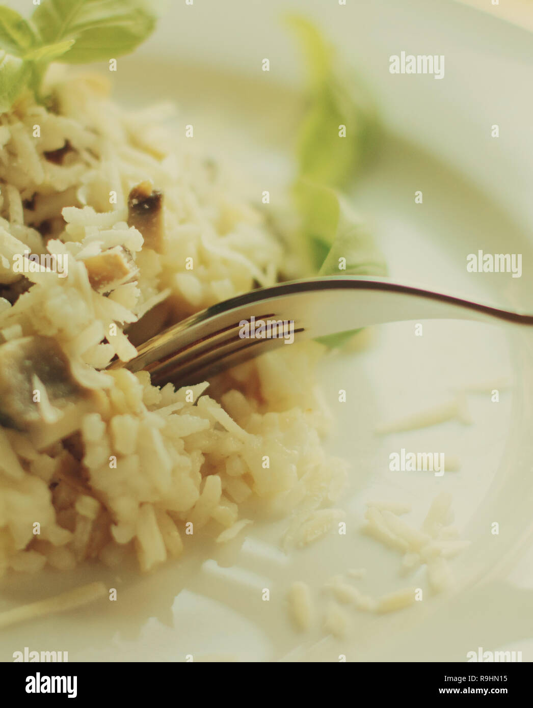 european and mediterranean cuisine styled concept - mushroom risotto ...