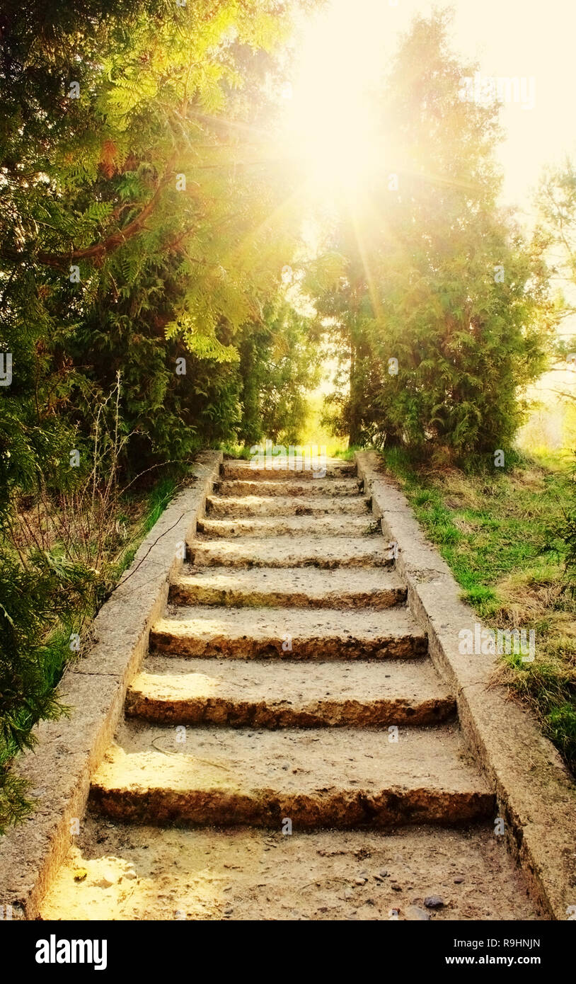 stairway to the sun - beauty in nature, religion and faith concept ...